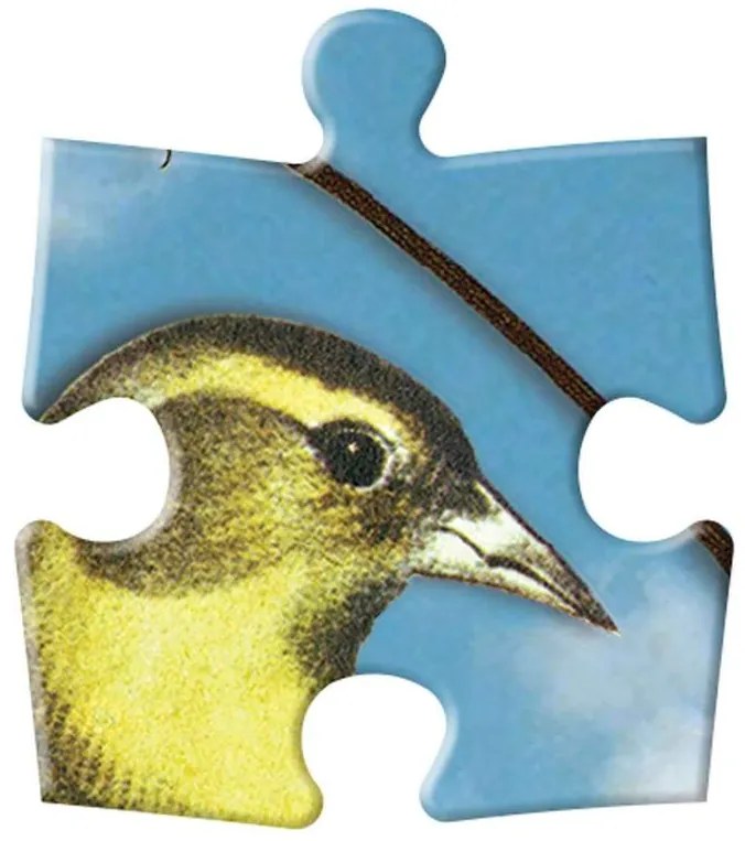 Galison Oboustranné puzzle Ptačí symfonie 250 dílků
