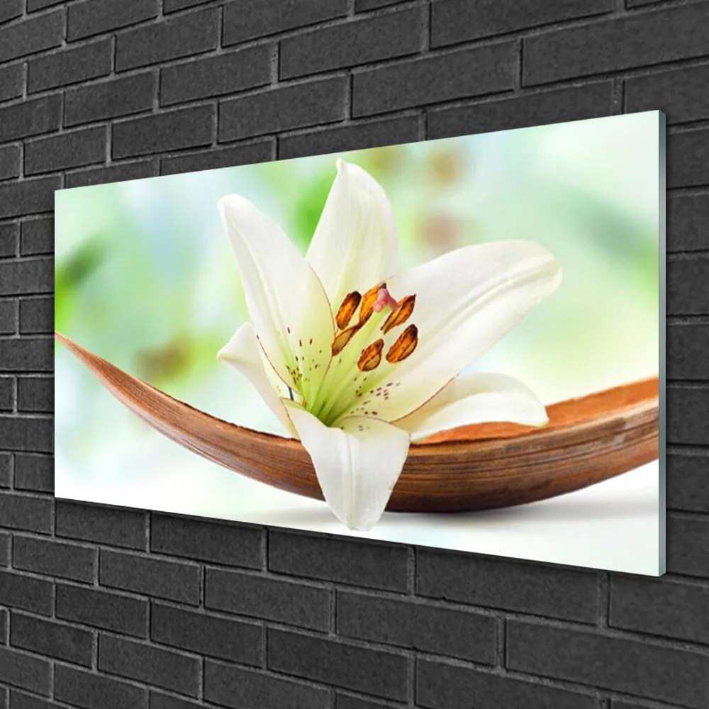 Obraz na skle Květ Rostlina Příroda 140x70 cm