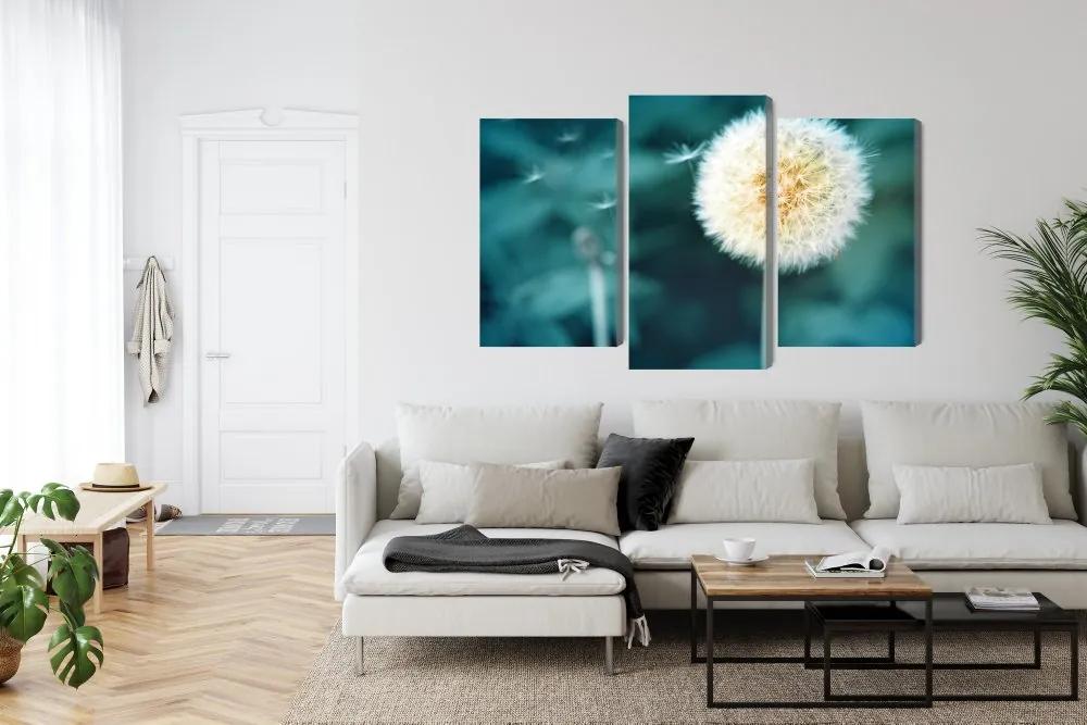 Vícedílný obraz Pampeliška Květ Zblízka 3D Nedostatek Nedostatek Přírodní plátno 180x120