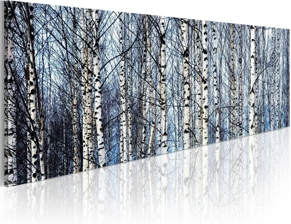Obraz na plátně Bimago - White birches 120x40 cm