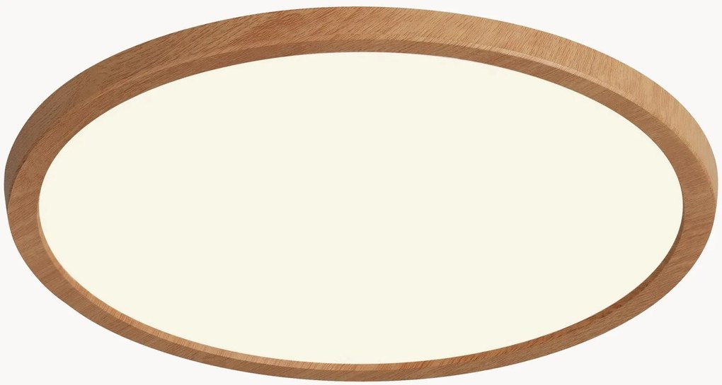 Stmívatelné stropní LED svítidlo Oja