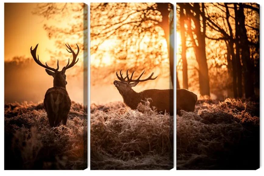 Vícedílný obraz Dva Jeleni V Lese Při Západu Slunce 3D Nedostatek Nedostatek Přírodní plátno 60x40