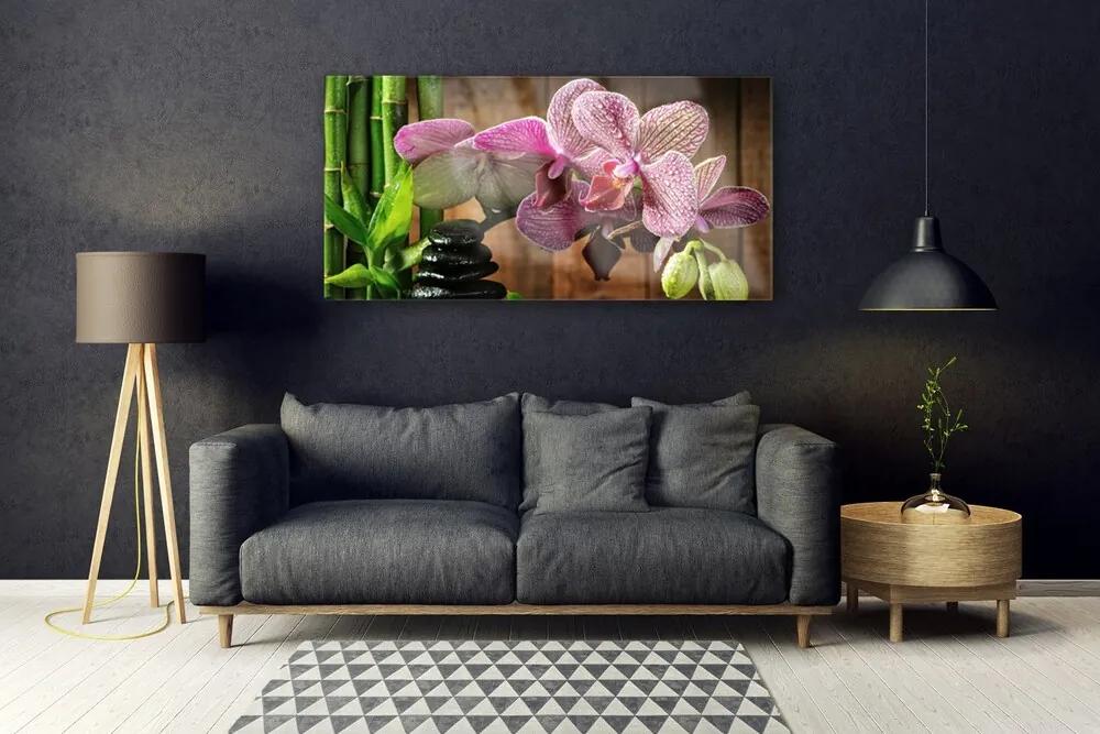 akrylový obraz Kvetiny Bambus Rostlina 120x60 cm