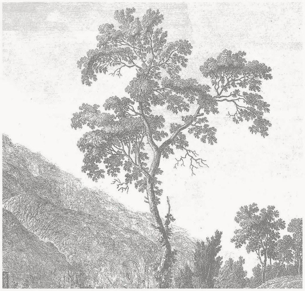 Tapeta Engraved Landscapes I