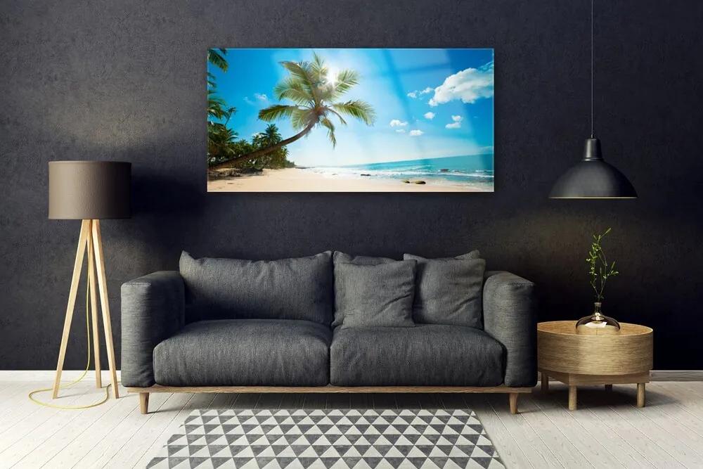 akrylový obraz Palma Strom Pláž Krajina 120x60 cm
