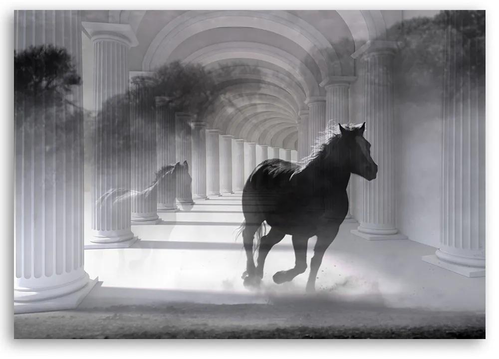 Obraz na plátně, Běh 3D koně - 90x60 cm