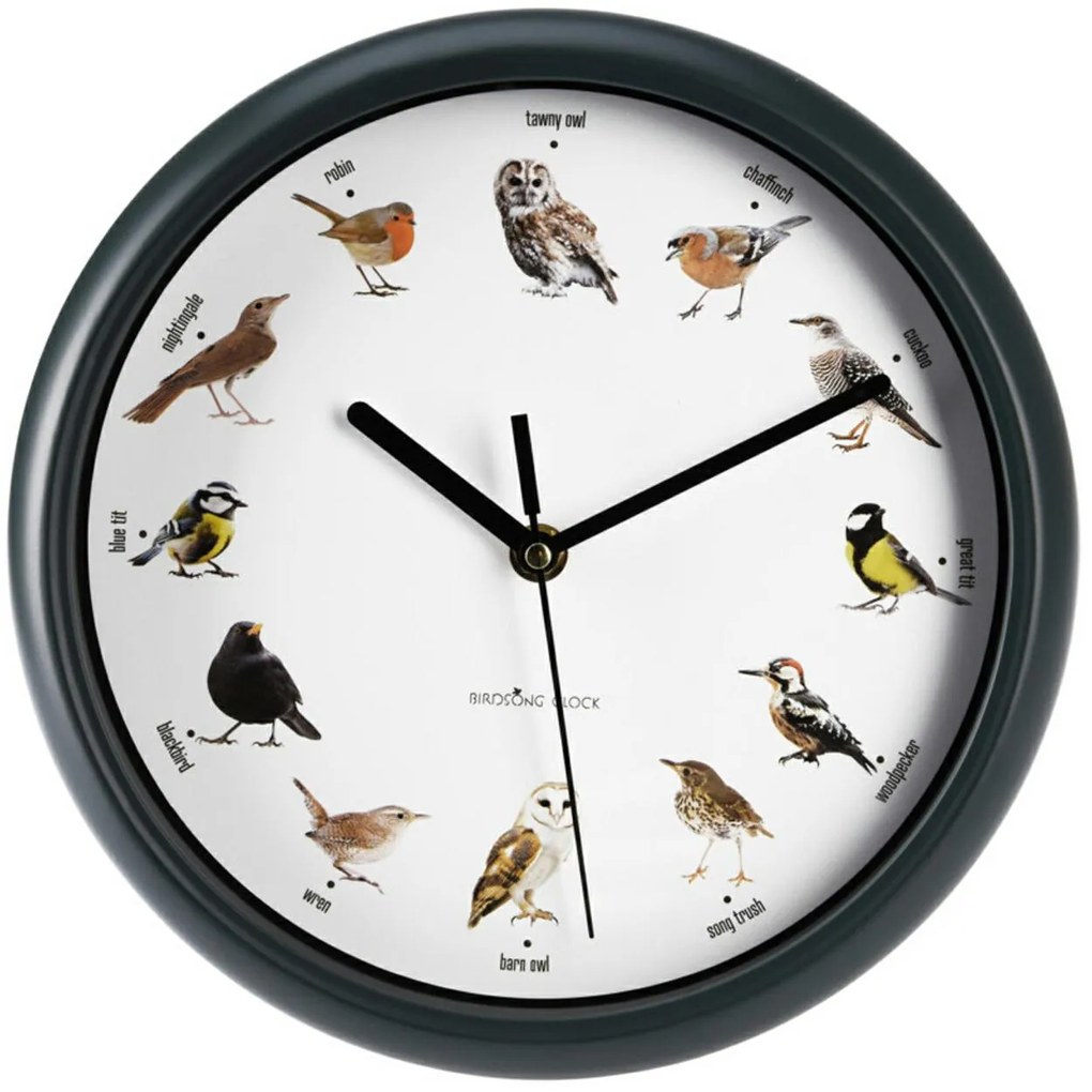 Nástěnné hodiny Birds, bílá/zelená