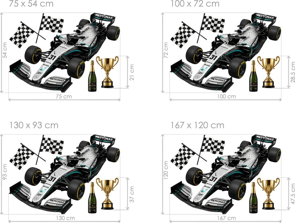 Stříbrnočerná formule F1 sportovní samolepky na zeď arch 75 x 54 cm