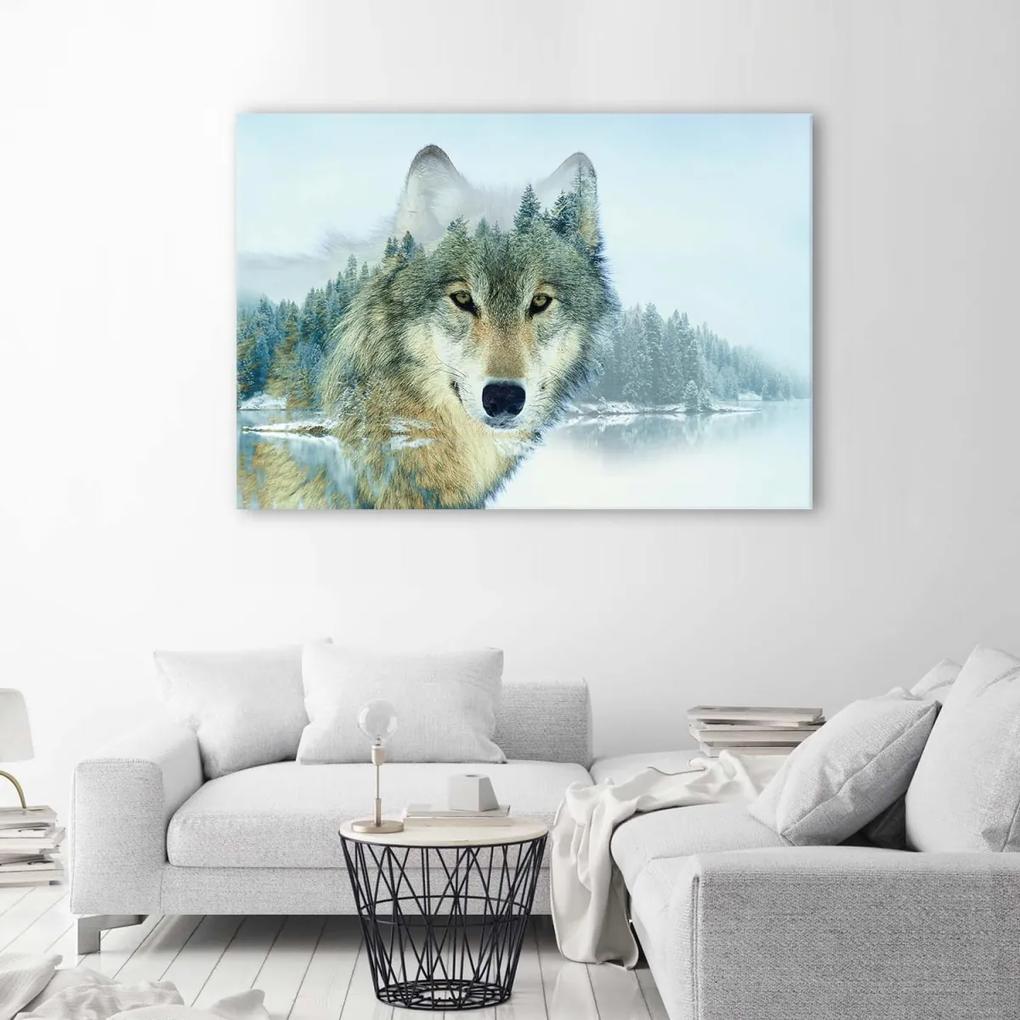 Obraz na plátně Zvířecí příroda Horský vlk - 120x80 cm
