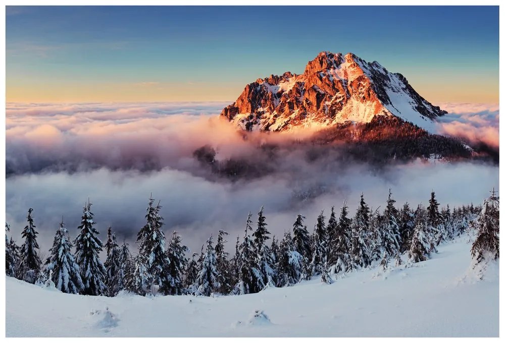 Fototapeta Rozsutec ve sněhové peřině
