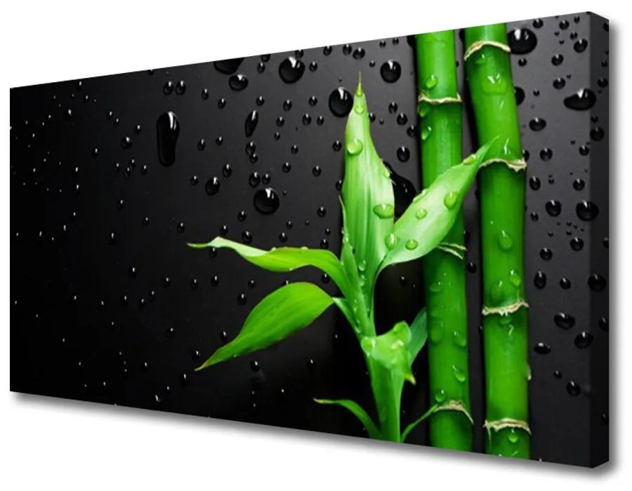 Obraz na plátně Bambus Listy Rostlina 100x50cm