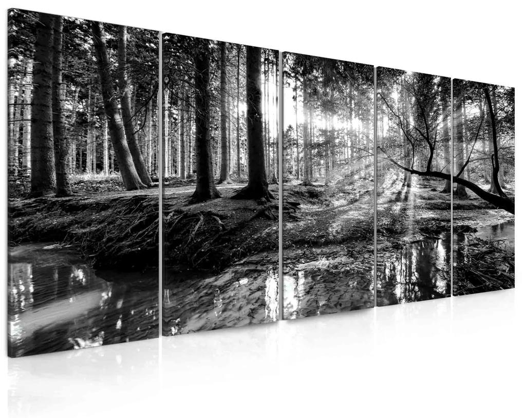 Malvis ® Obraz černobílá pohoda lesa Velikost: pětidílné schody - 200x100 cm