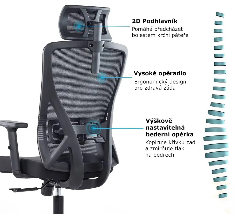 Kancelářská ergonomická židle Neoseat FLEX PRO — síť / látka, černá, nosnost 150 kg