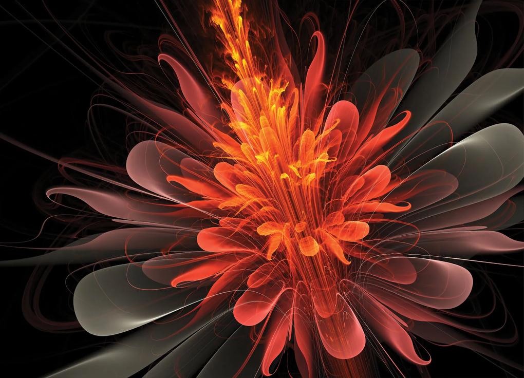 Malvis Tapeta ohnivá květina Vel. (šířka x výška): 144 x 105 cm