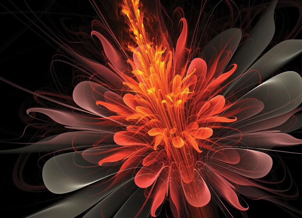 Malvis Tapeta ohnivá květina Vel. (šířka x výška): 216 x 140 cm