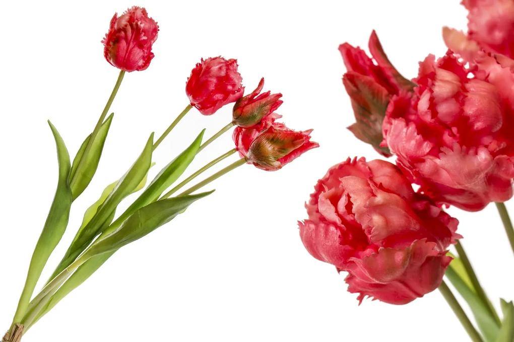 Kytice tulipánů bu04049
