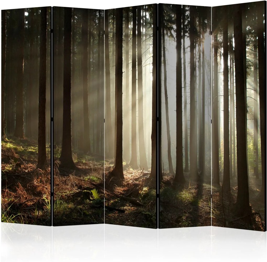 Paraván - Coniferous forest [Room Dividers] 225x172