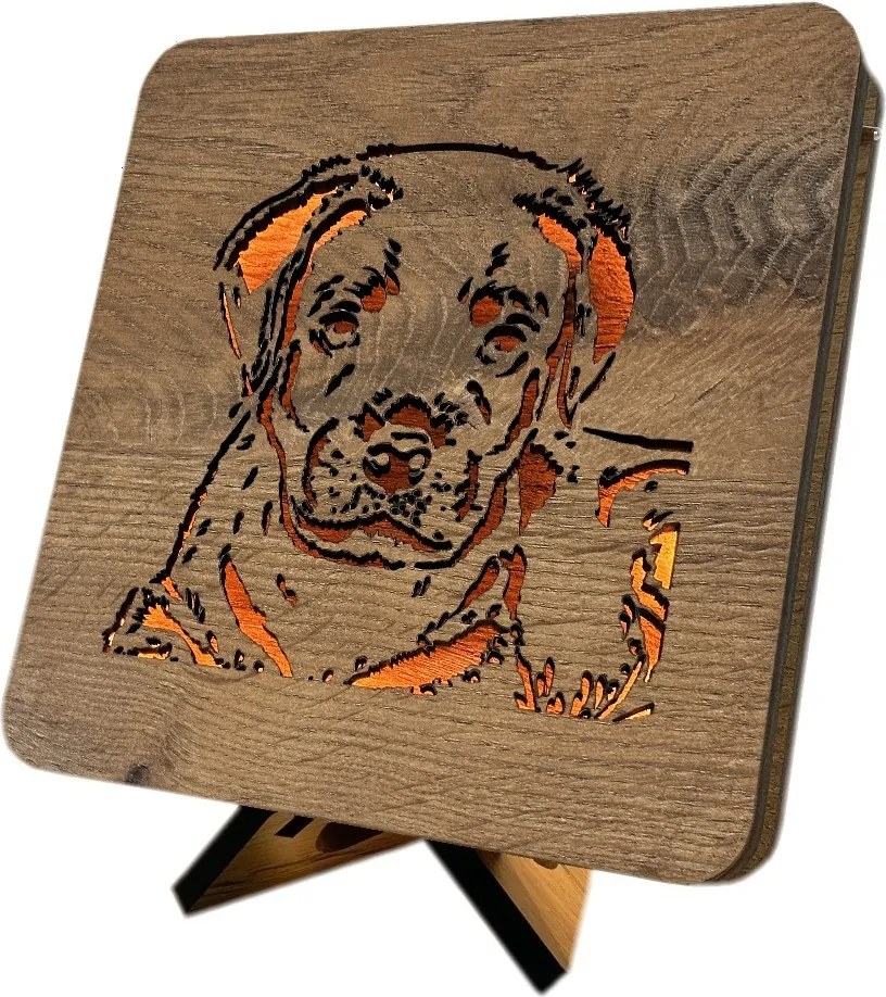 Li-Go "Štěně" lampa 19x19 cm provedení povrchu: jedle