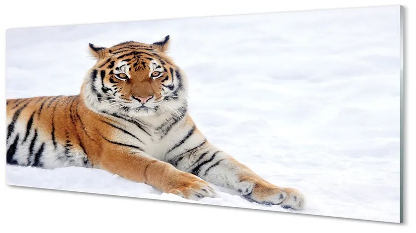 akrylový obraz Tiger winter 120x60 cm