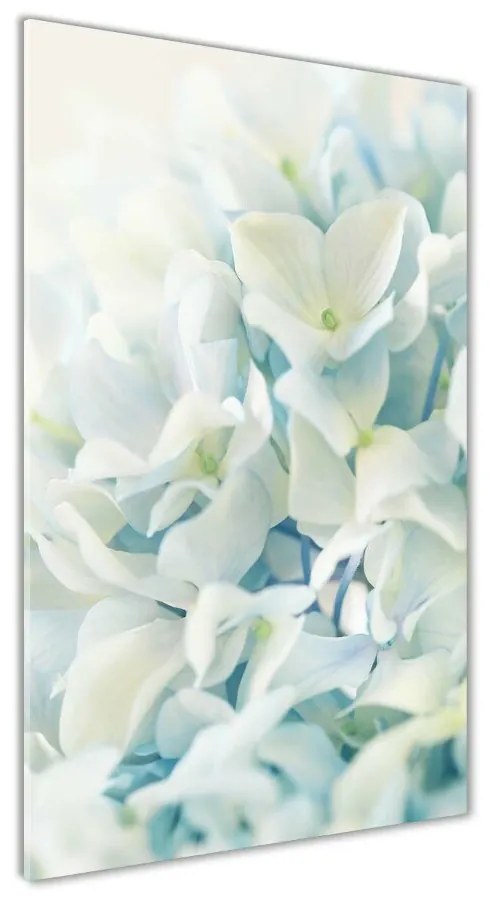 Wallmuralia Vertikální Fotoobraz na skle Květ hortensie 50x100