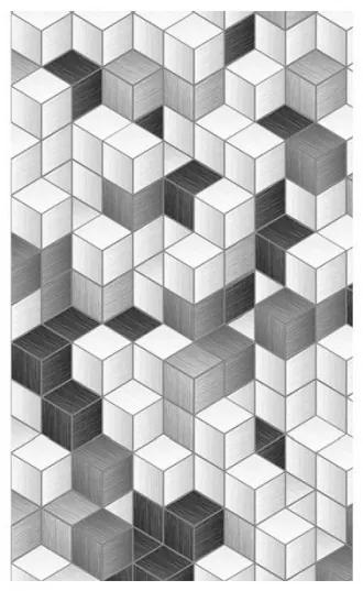 DIMEX | Vliesová fototapeta na zeď Krychle MS-2-0301  | 150 x 250 cm | černá, bílá