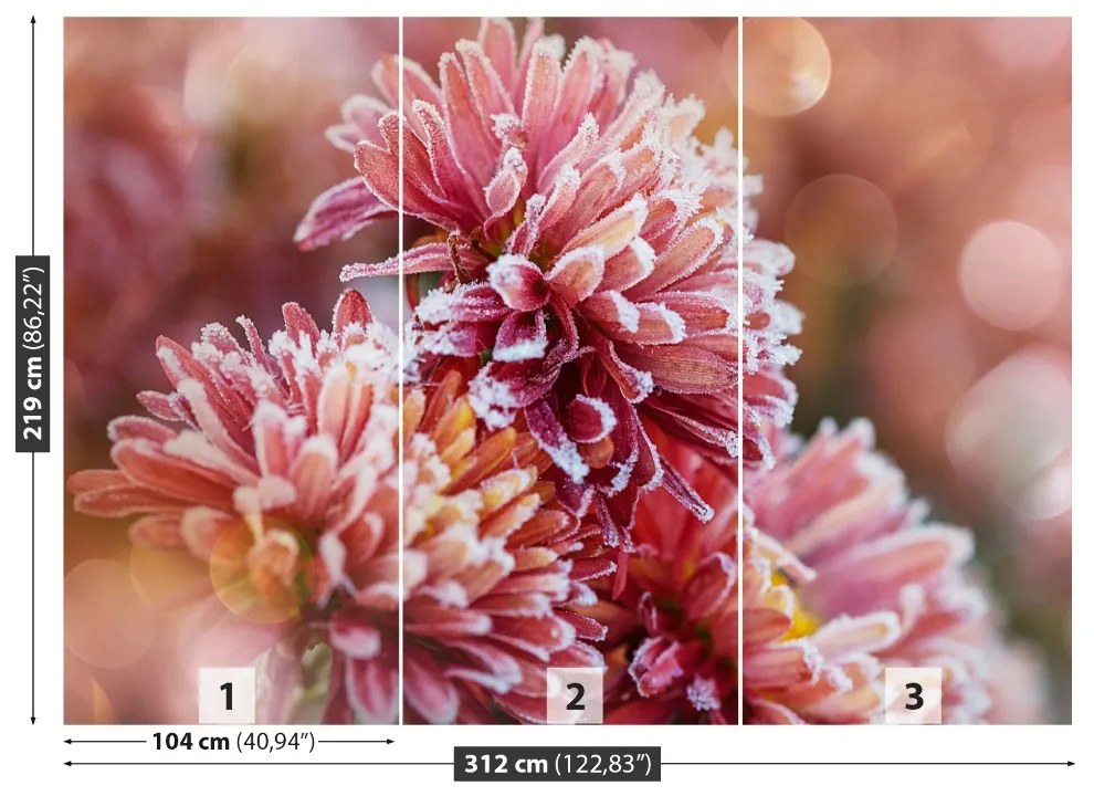 Fototapeta Aster ice Pink 104x70