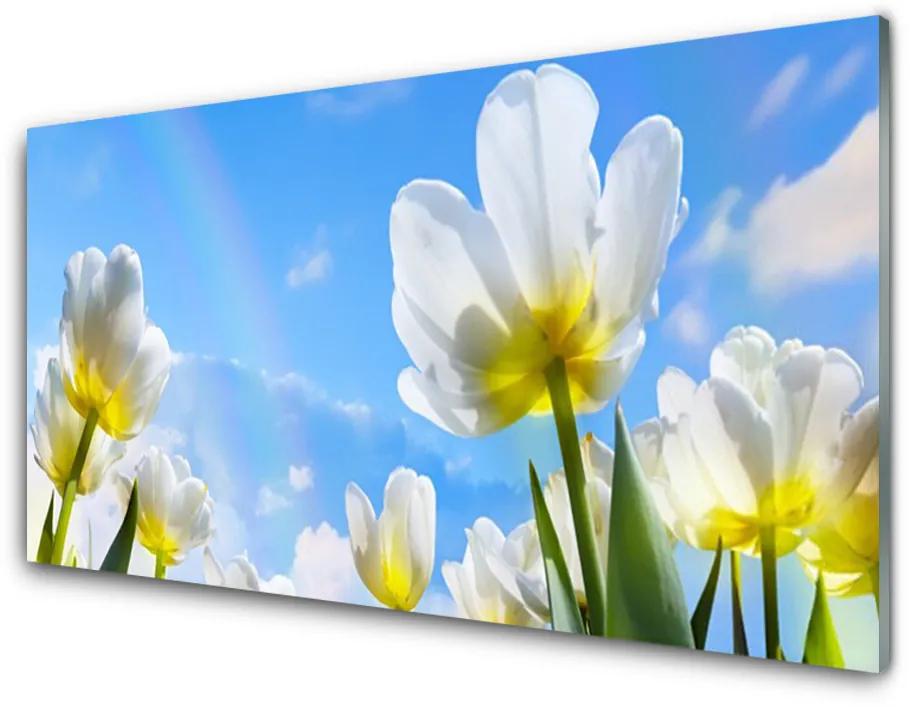 Obraz na skle Rostliny Květiny Tulipány 120x60 cm
