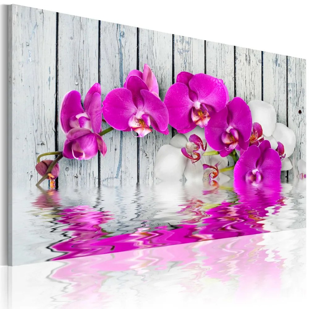 Obraz na plátně Bimago - harmonie: orchidea 60x40 cm