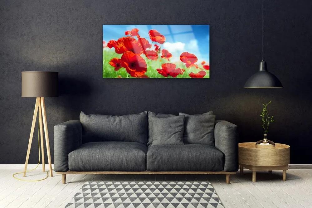 Obraz na skle Máky Rostlina Příroda 140x70 cm