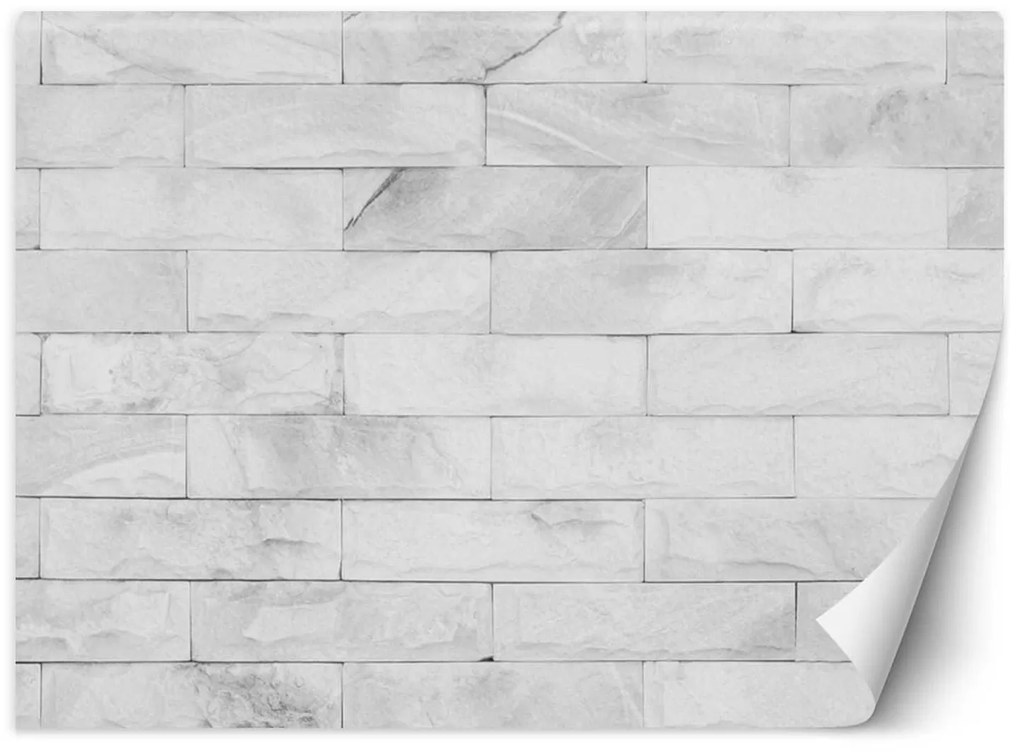 Gario Fototapeta Bílé cihly Materiál: Vliesová, Rozměry: 200 x 140 cm