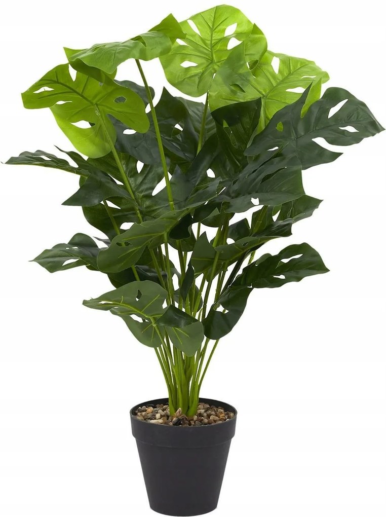Umělá rostlina Monstera v květináči 80 cm Vysoká