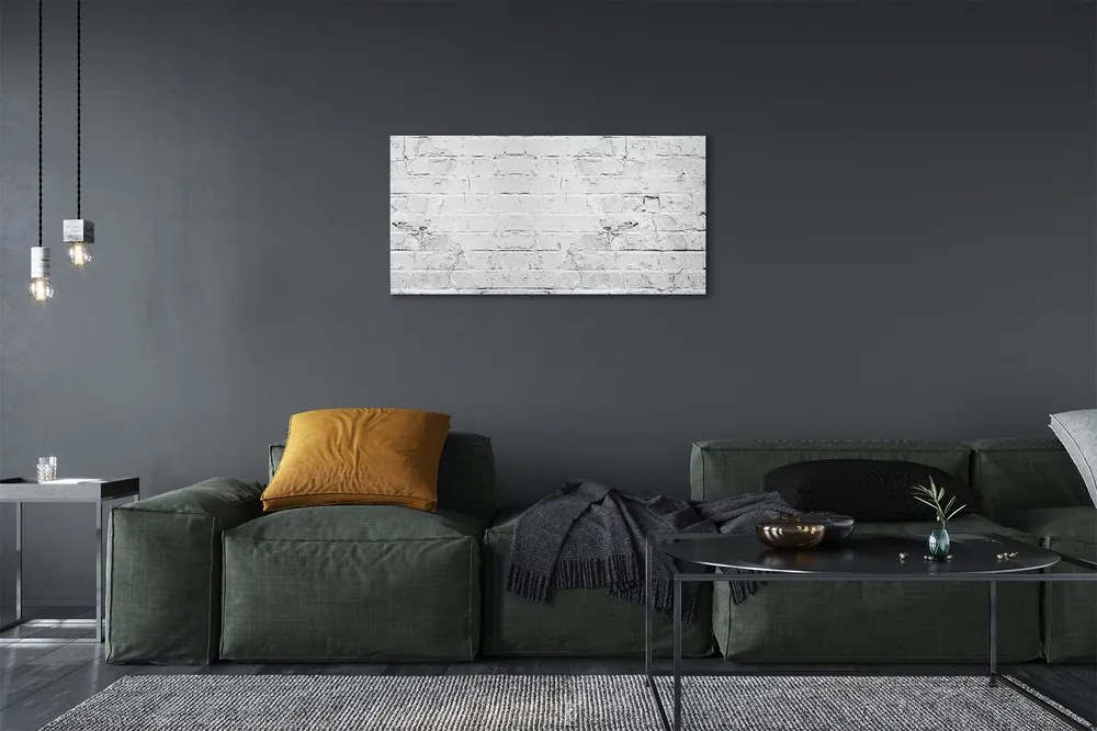 Obrazy na plátně Cihlové zdi wall 100x50 cm