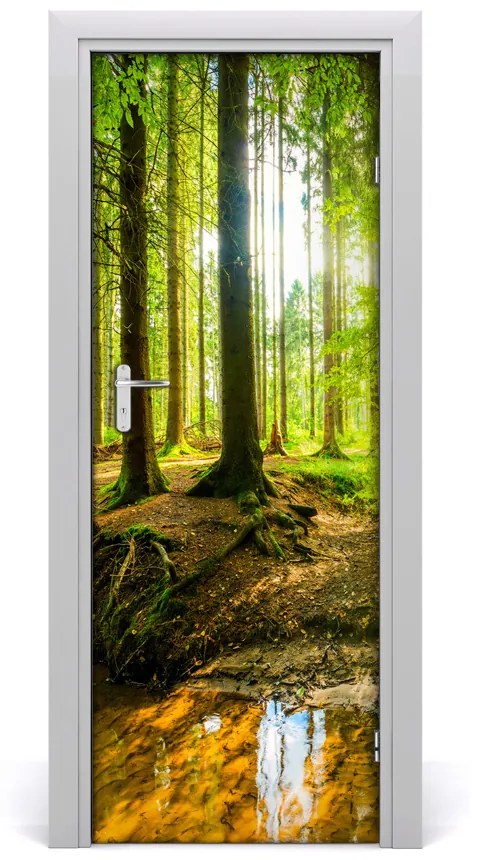 Fototapeta na dveře samolepící slunce v lese 85x205 cm