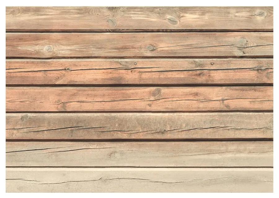 Velkoformátová tapeta Bimago Old Pine, 400 x 280 cm