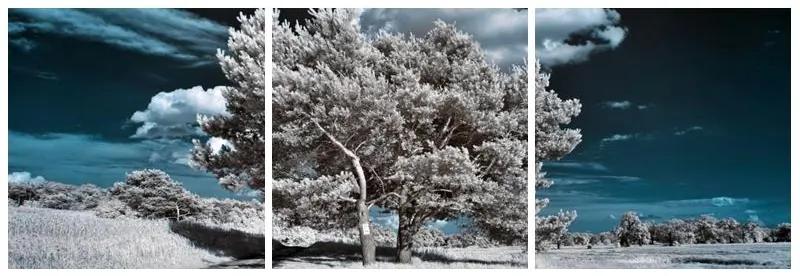 Obraz stromů na louce (90x30 cm), 40 dalších rozměrů