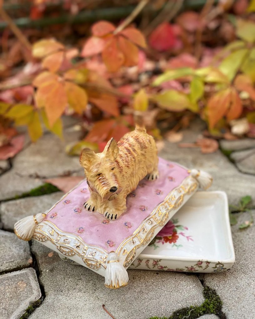 Porcelánová dóza - Scottish Terrier