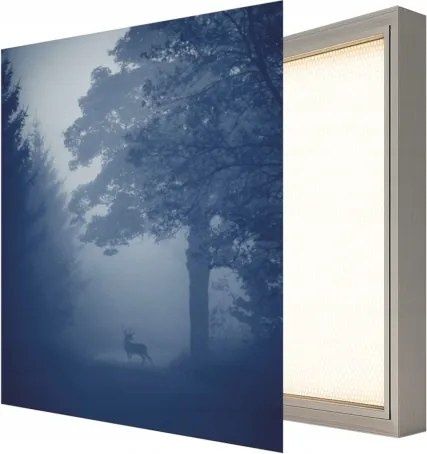 Led Podsvícený Obraz Jelen rámeček stříbrný Canvas Slim 40x50 cm napájecí adaptér