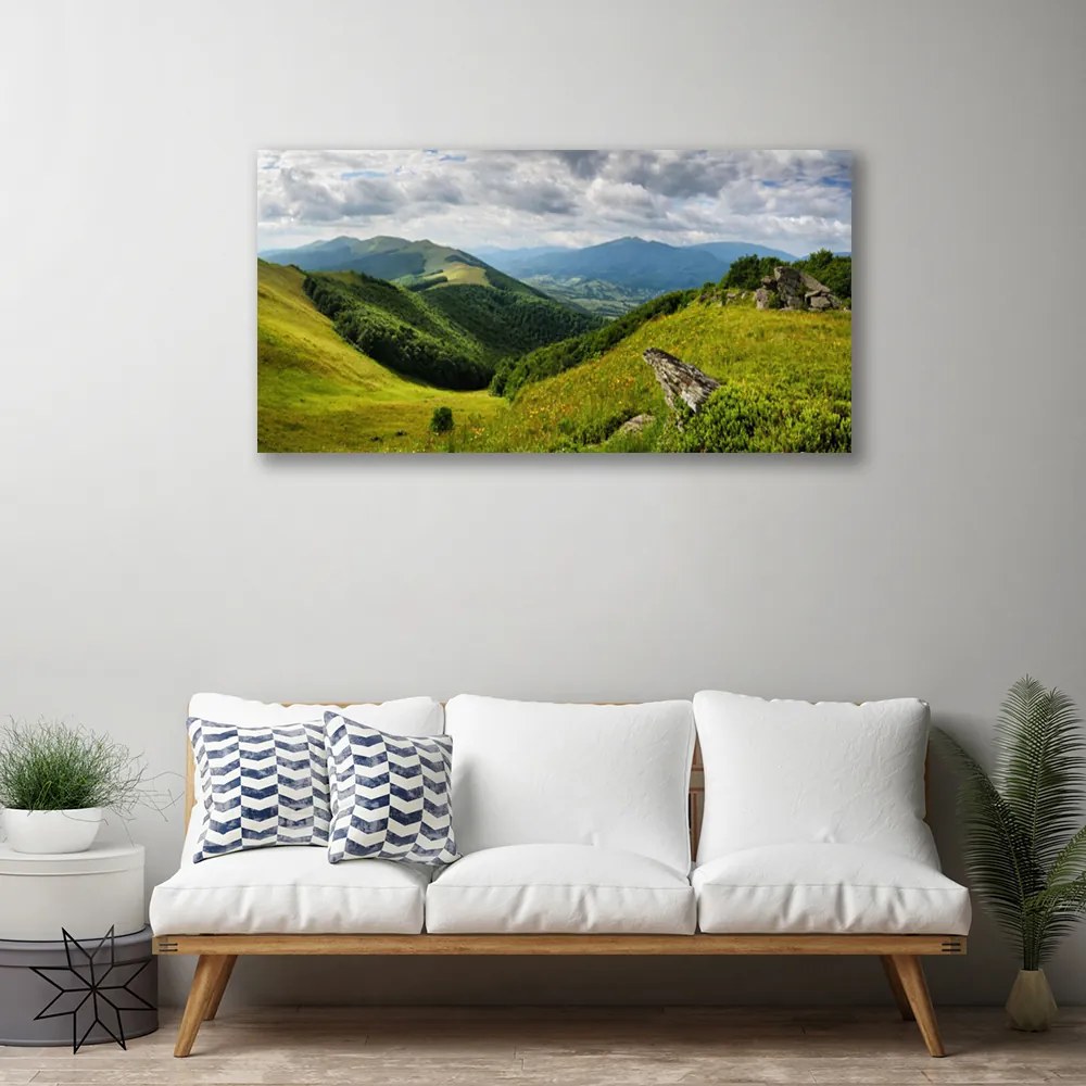 Obraz na plátně Hora Louka Krajina 125x50 cm