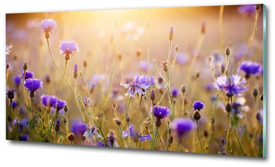 Wallmuralia Foto obraz sklo tvrzené Plolní květiny 100x50