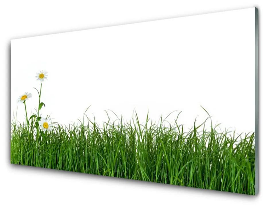 Obraz na skle Plevel Příroda Rostlina 140x70 cm
