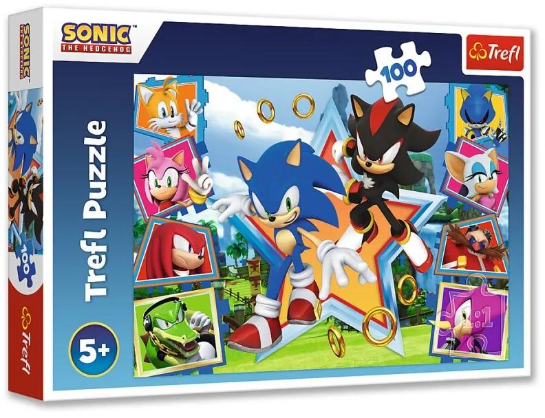 16465 Dětské puzzle - Ježek Sonic - 100ks