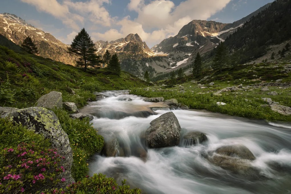 Umělecká fotografie Maritime Alps Park, Paolo Bolla, (40 x 26.7 cm)