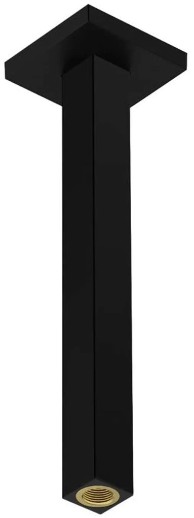 Hansgrohe - Sprchové rameno stropní, 31 cm, matná černá 24339670
