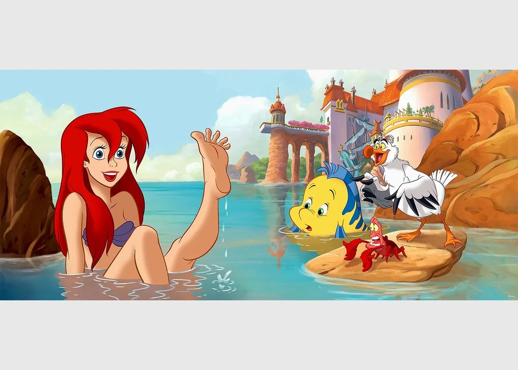 Dětská vliesová fototapeta na zed' Proměna Ariel, Disney | 202 x 90 cm | DFTDNH 5363