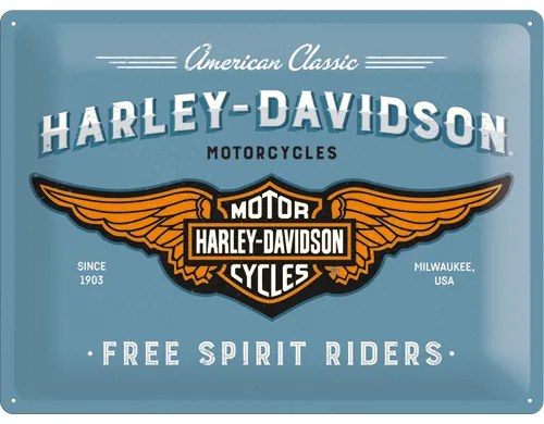 Postershop Plechová cedule: Harley-Davidson (Free Spirit Riders) - 30x40 cm