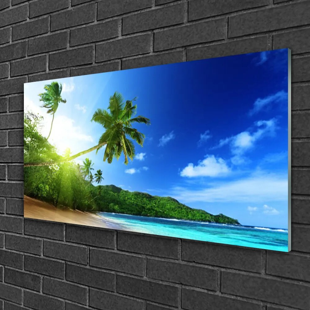 Obraz na skle Pláž Moře Palma Krajina 140x70 cm