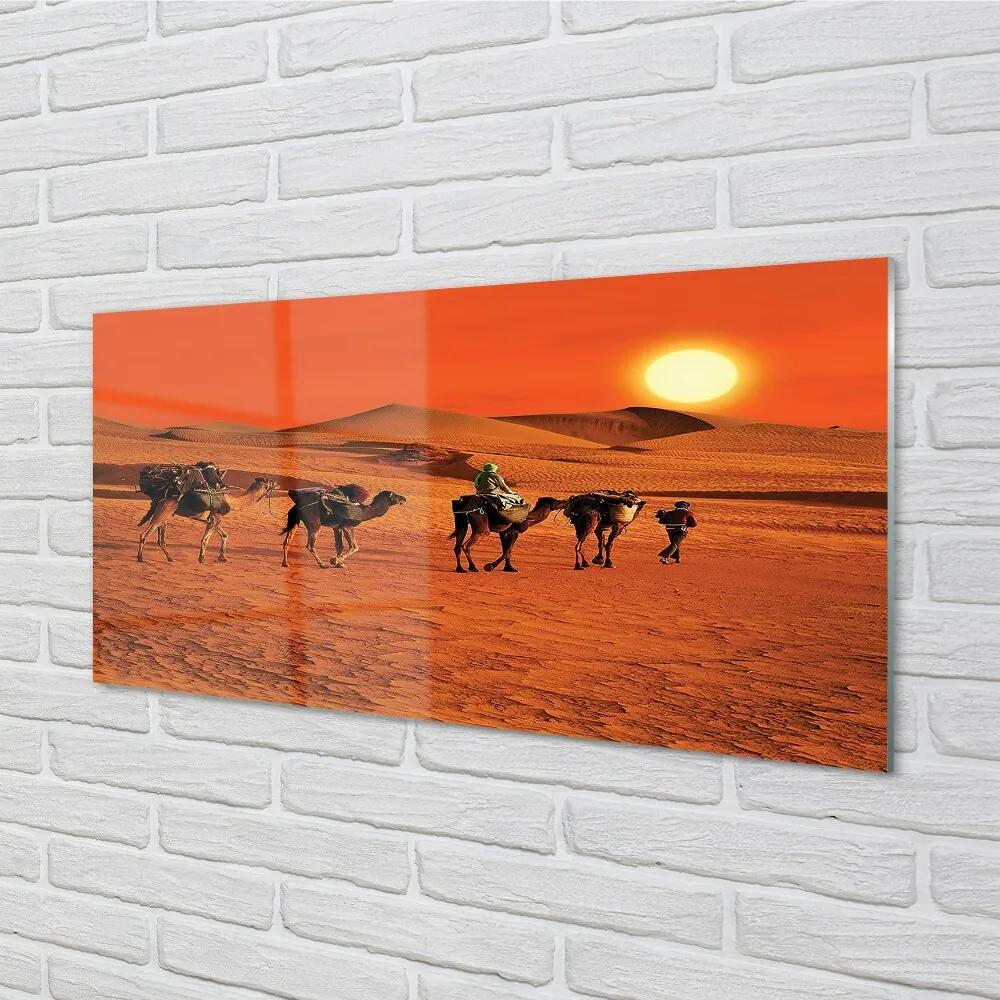 Obraz na skle Velbloudi lidí pouštní slunce nebe 120x60 cm
