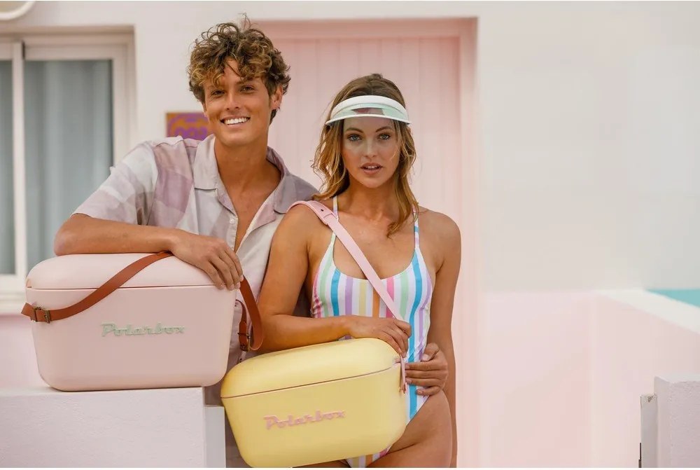 Chladicí box v petrolejové barvě 12 l Classic – Polarbox