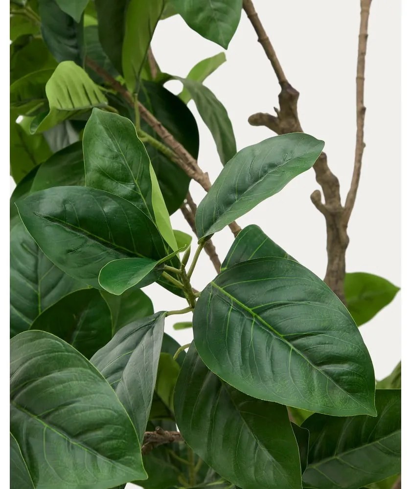Umělý fíkus (výška 210 cm) Ficus – Kave Home