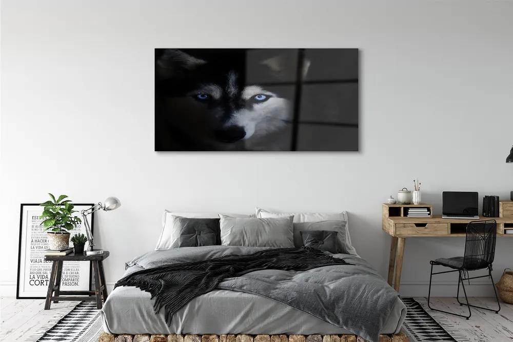 akrylový obraz wolf Eyes 140x70 cm
